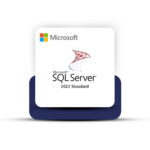 SQL Server 2022 Standard – CYBERLICENSE